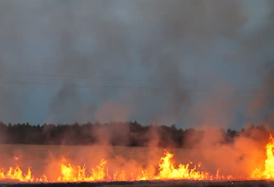 Firefighters Tackle Field Fire Near Sittingbourne | SFM Radio | 106.9 ...